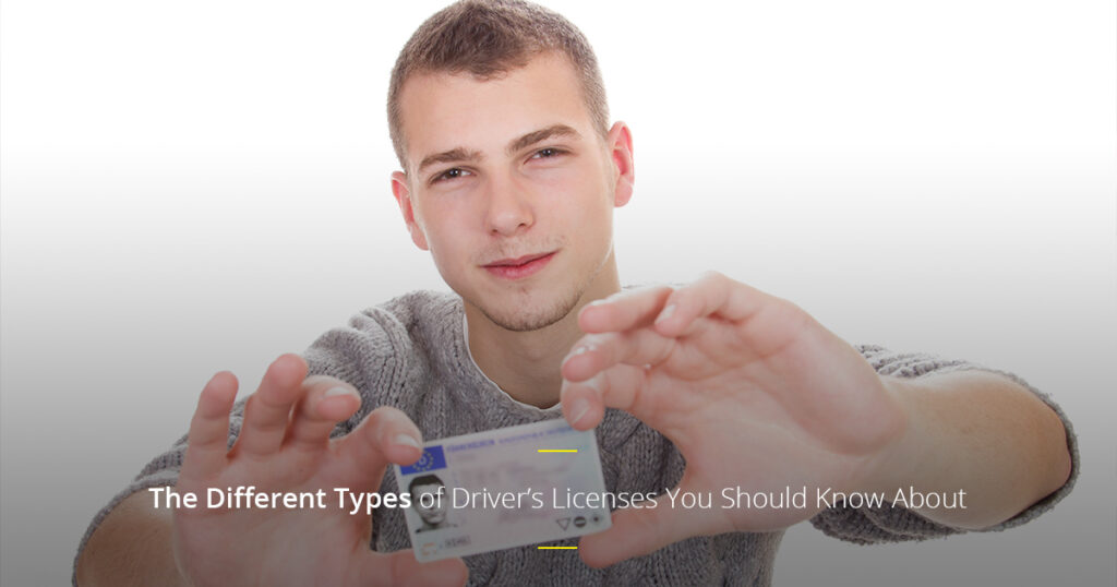 New Mexico DMV: The Different Types of Driver’s Licenses You Should ...