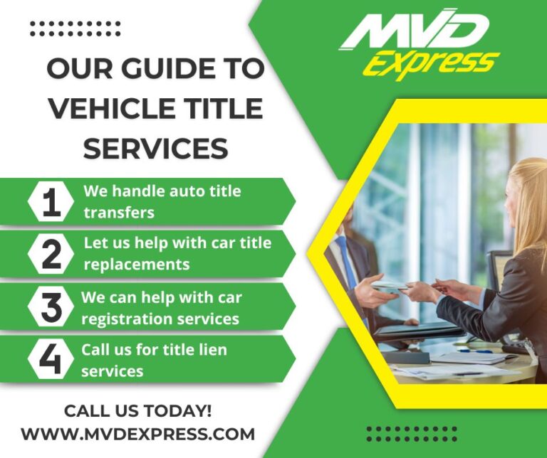 In the Driver's Seat: MVD Express's Comprehensive Guide to Vehicle ...